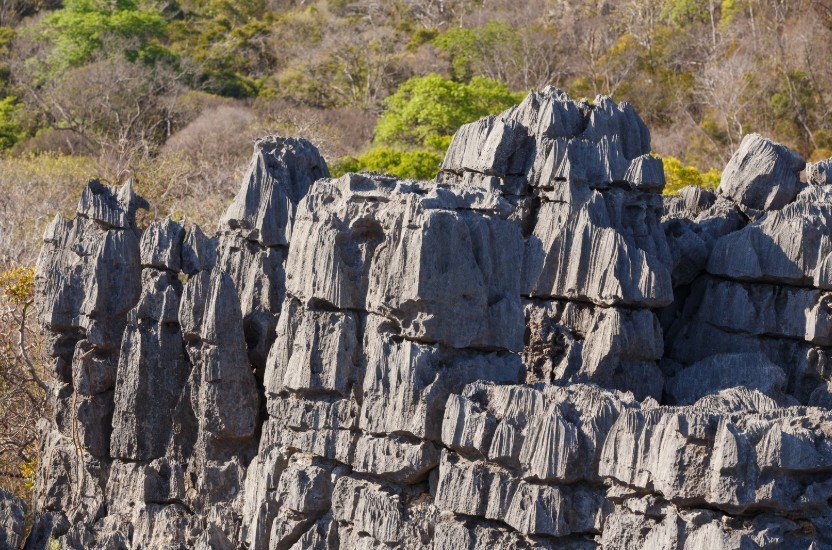 Excursion d’une journée du parc national d’Ankarana. - Travelers of ...