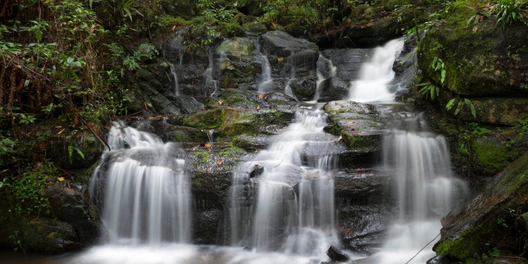 Excursion d'une journée à Anjozorobe-Angavo - Travelers of Madagascar